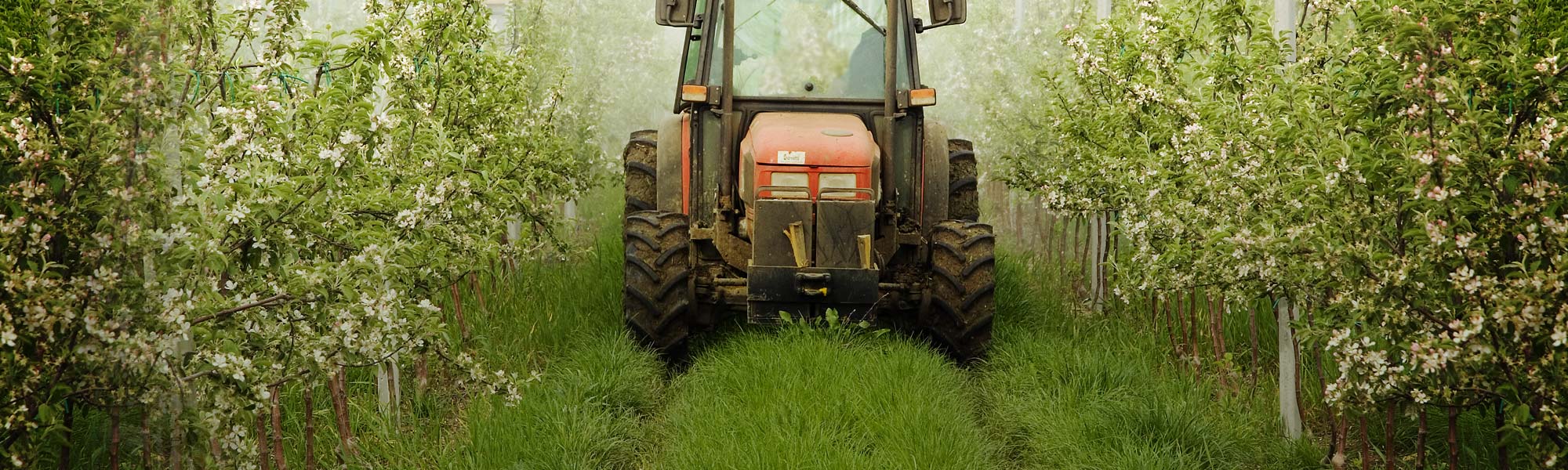 Orchard Management to Help Optimize Thinning Operations - Neousys ...