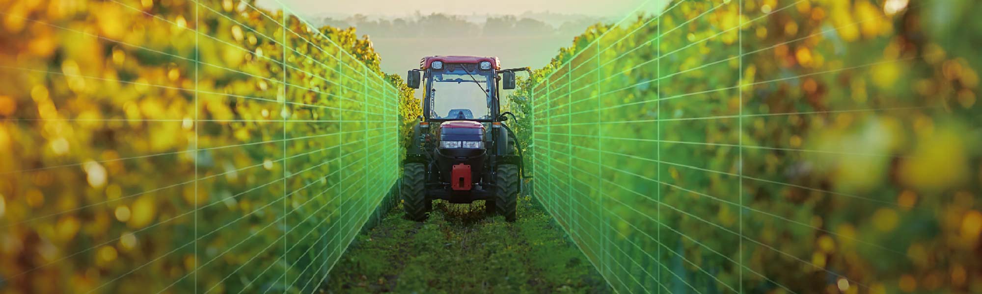 Precision Viticulture Utilizing Ai Automation Neousys Technology