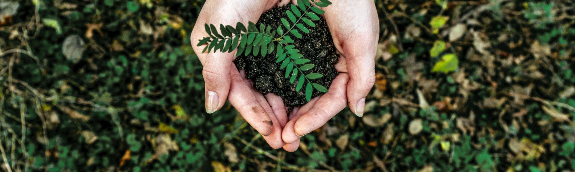 Sustainable Development - Neousys Technology